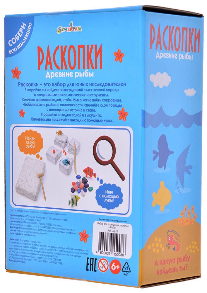 Большой набор для проведения раскопок "Рыбы" | Купить настольную игру в ...